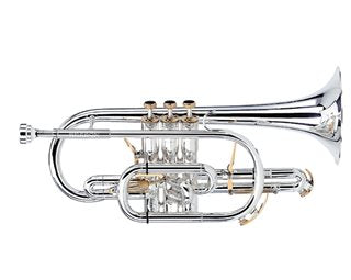 Cornet
